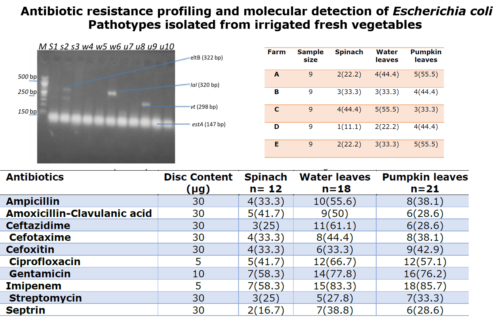 Antibiotic resistance profiling and molecular detection of Escherichia ...